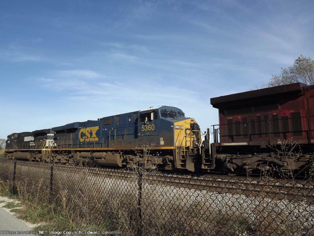 281's trio passes mp 84 - the beaver was bashful